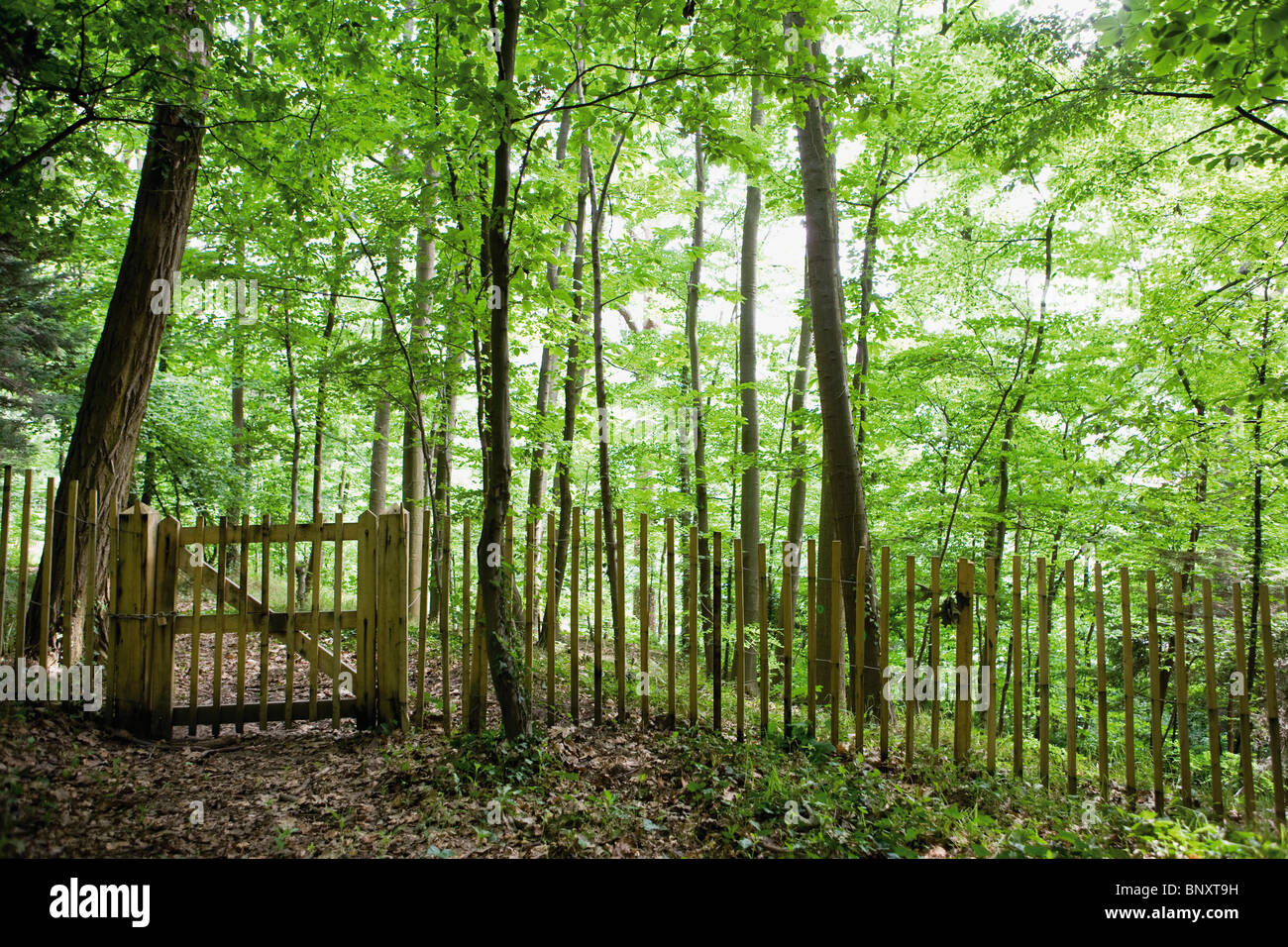 Blocking gates hi-res stock photography and images - Alamy