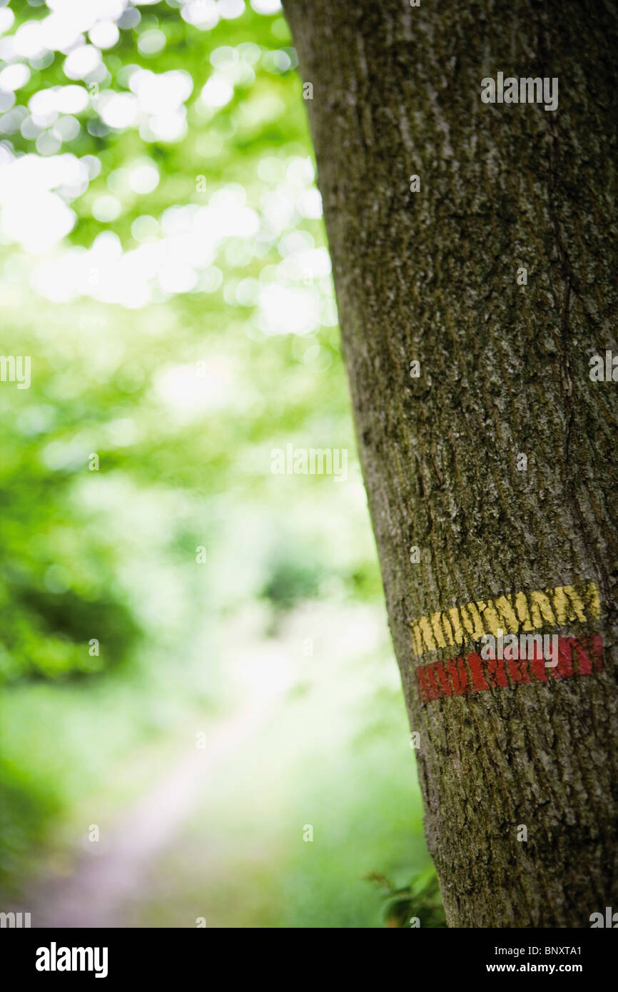 Tree trunk marked with hiking trail blaze Stock Photo - Alamy