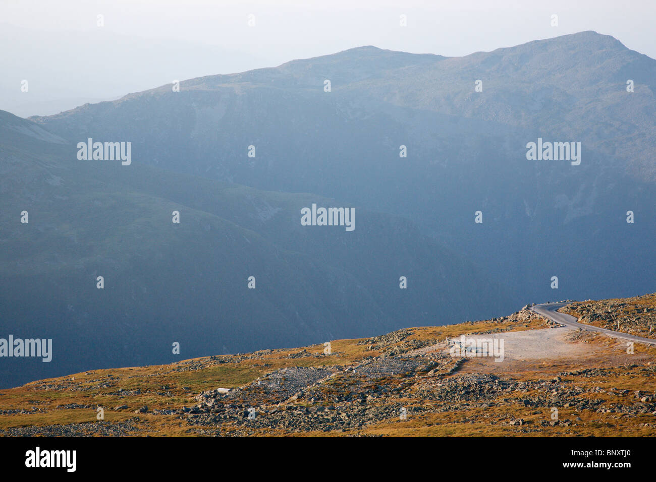 Sherman adams building hi-res stock photography and images - Alamy