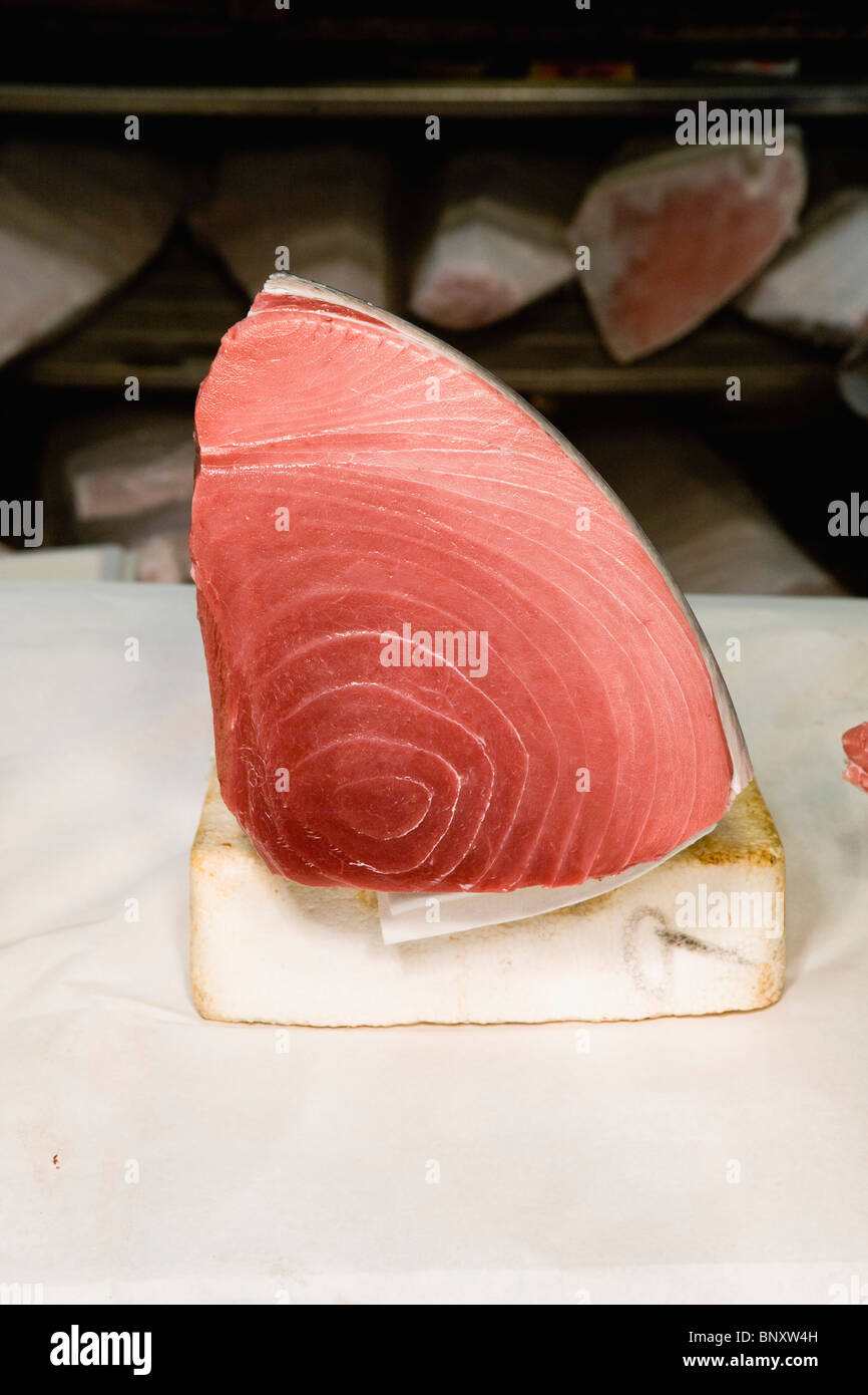 Fresh tuna in market Stock Photo - Alamy
