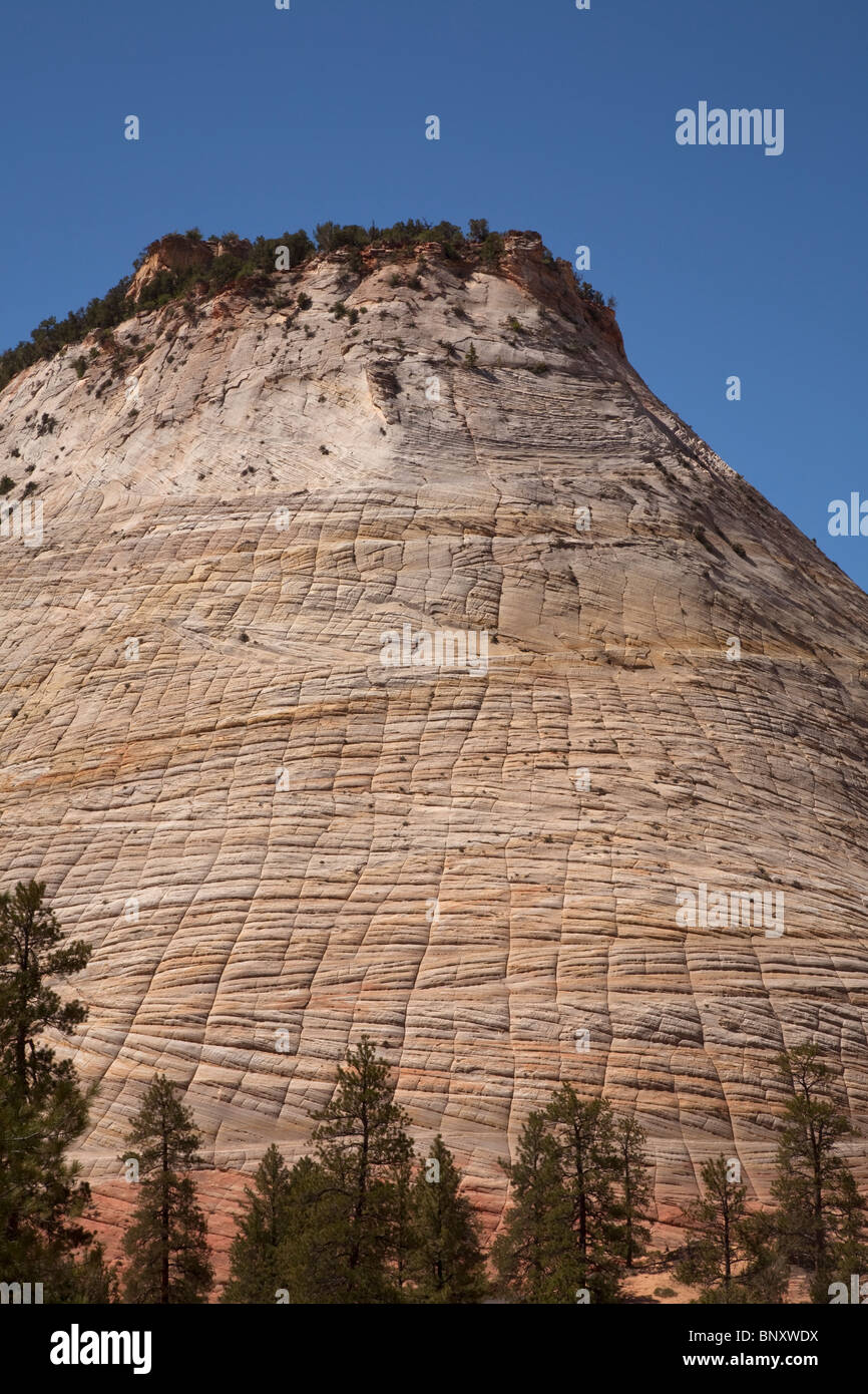 Checkerboard mesa in the Canyonlands country of Zion National Park in ...