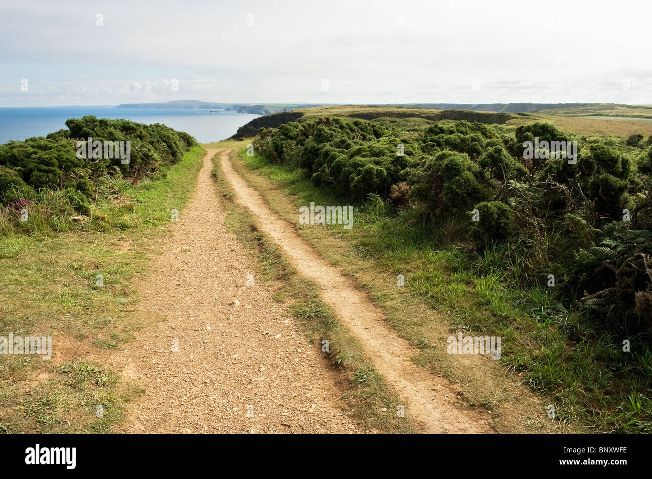 A path on the Cornish coast. Photo by Gordon Scammell Stock Photo - Alamy