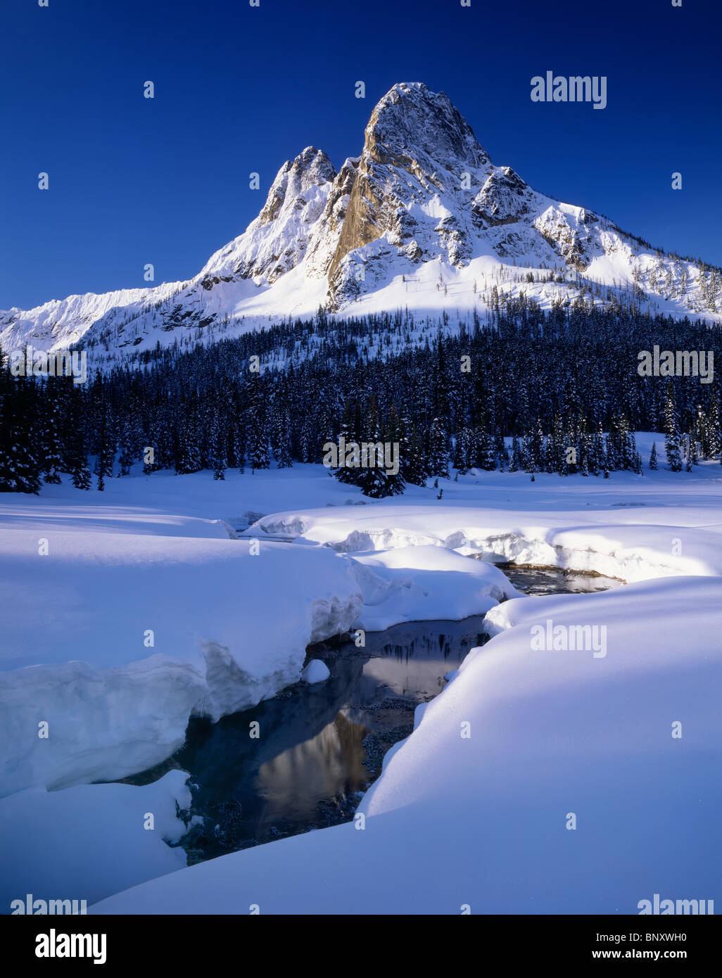 Liberty Bell Mountain from Washington Pass, North Cascades Washington ...