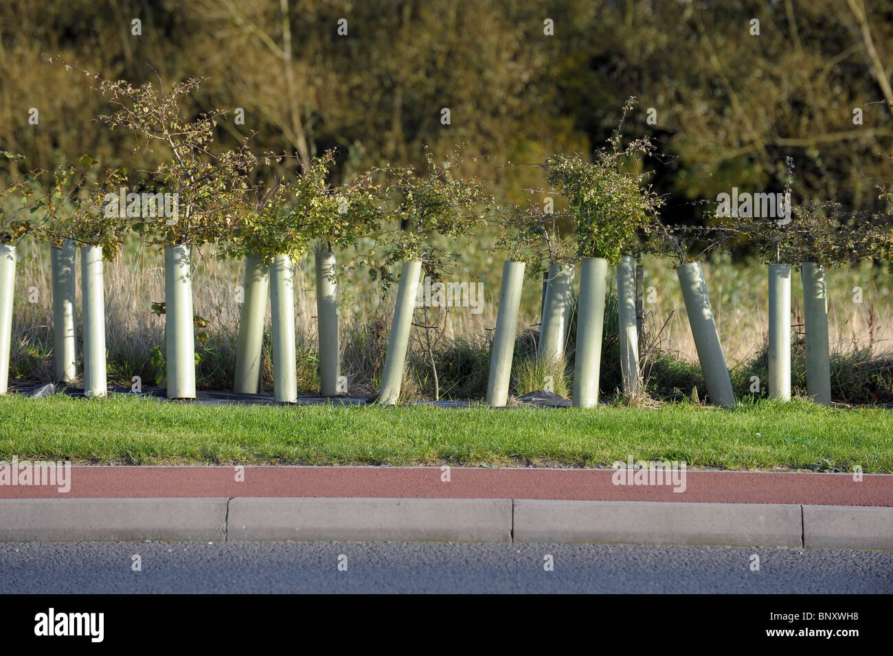 Grass Verge High Resolution Stock Photography and Images - Alamy