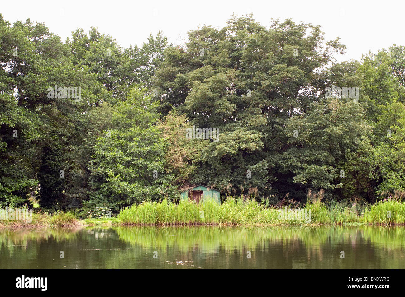 Anglers shed on a small rural pond Derbyshire, England,"Great Britain ...