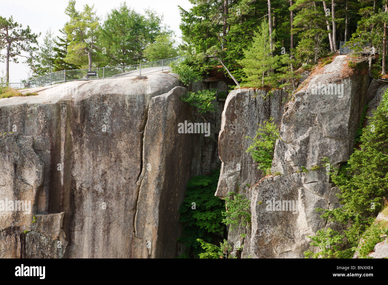 Cathedral Ledge New Hampshire High Resolution Stock Photography and ...