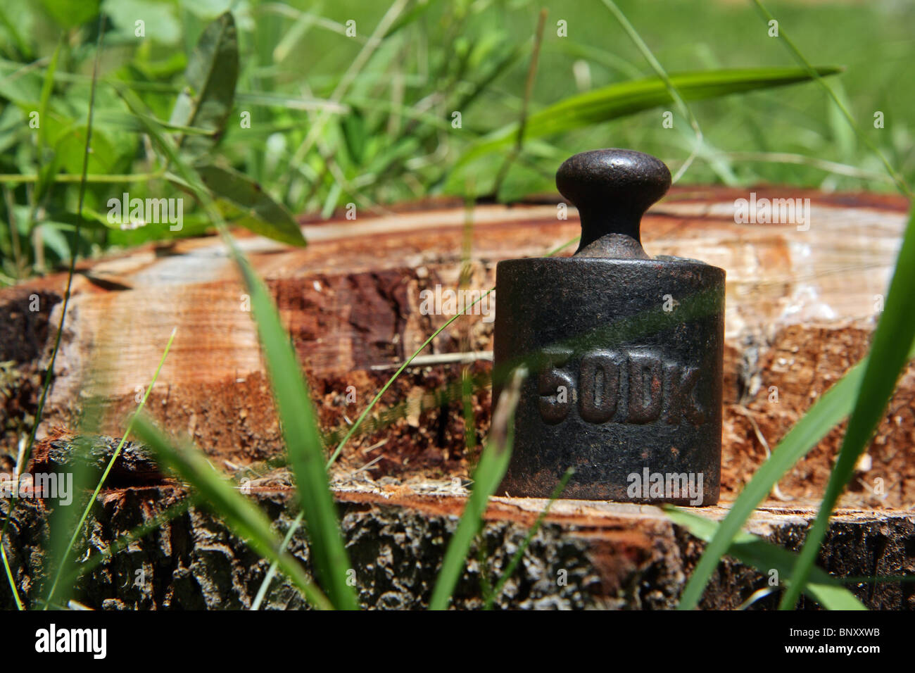 50 gram hi-res stock photography and images - Alamy