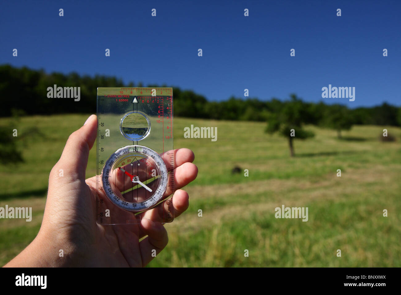 Hand holding a compass Stock Photo - Alamy