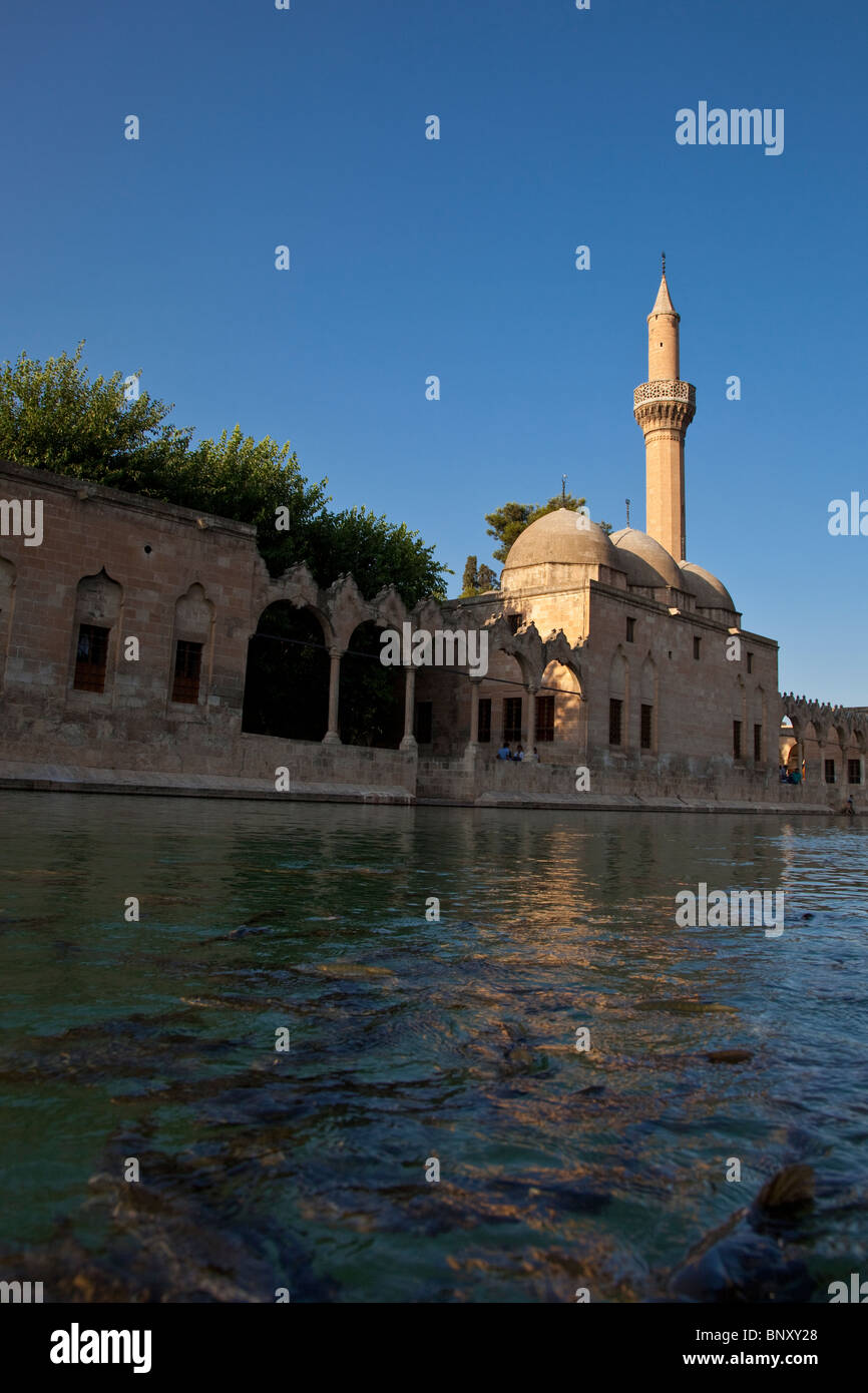 Pool abraham balikli gol in hi-res stock photography and images - Alamy