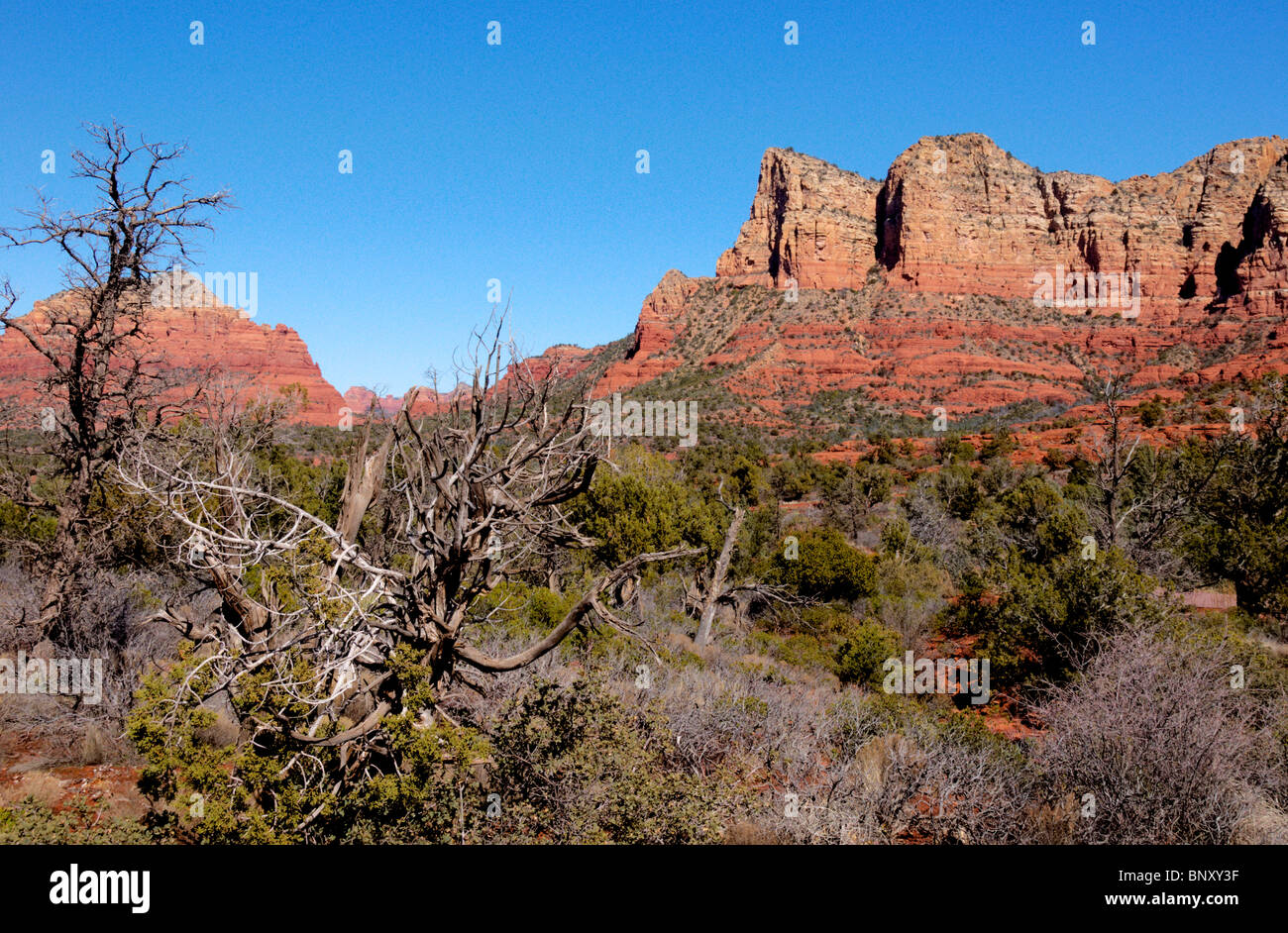 Red Rock Country around Sedona Arizona Stock Photo - Alamy
