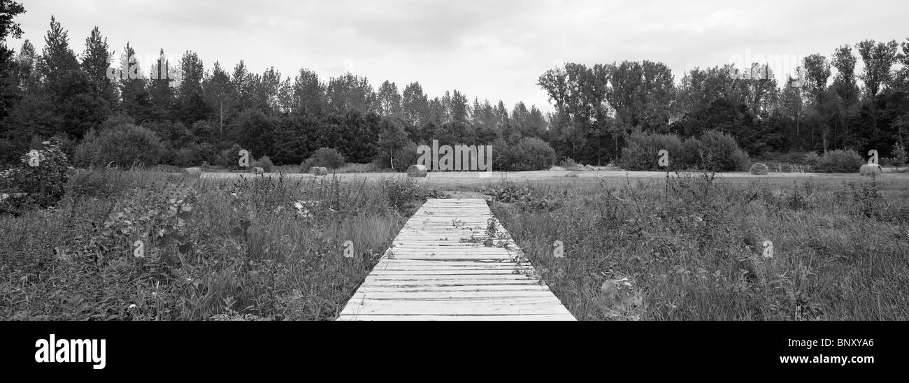 Small wooden footbridge allowing for access to a Flemish farm field ...