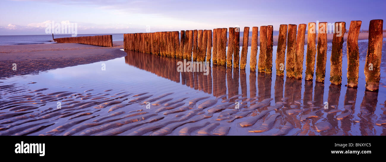 Wooden groyne poles reflected in standing seawater on the beach of ...