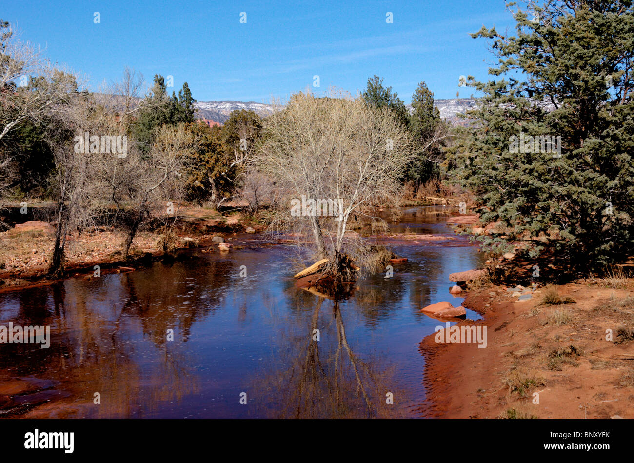 Arizona High Country High Resolution Stock Photography and Images - Alamy