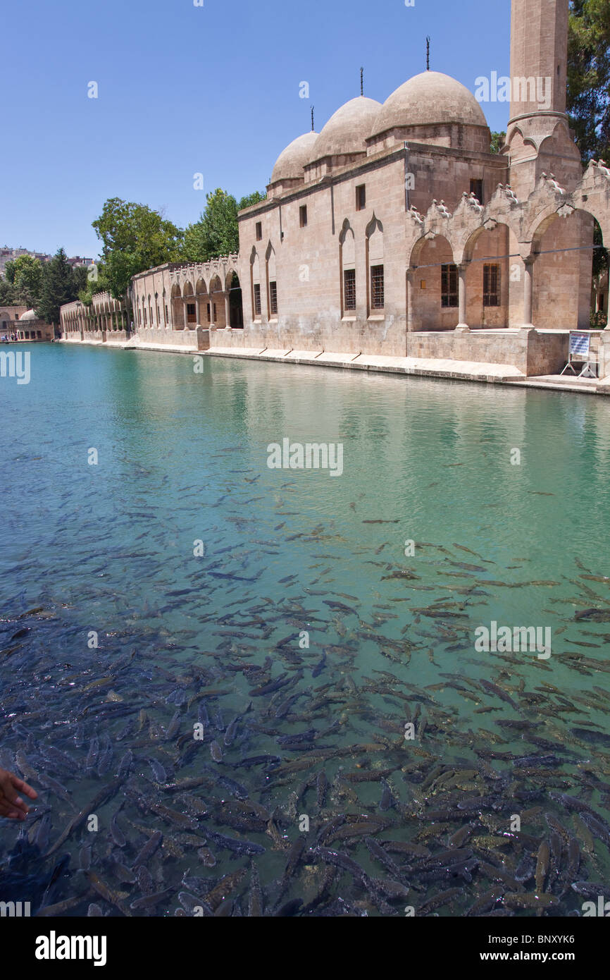 Pool of Abraham or Balikli Gol and Halil ur Rahman Mosque in Sanliurfa ...