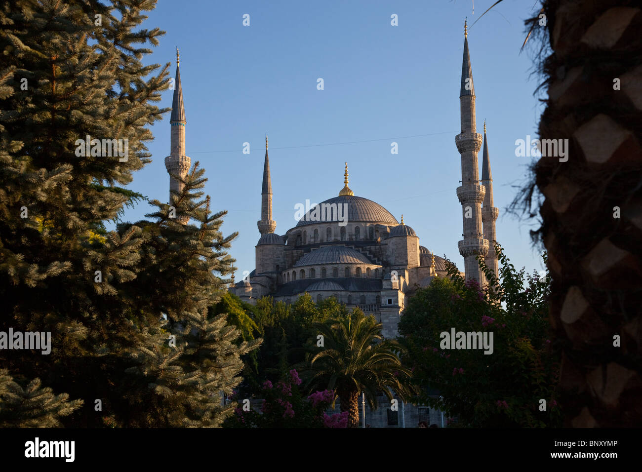 Sultan ahmed blue mosque in hi-res stock photography and images - Alamy