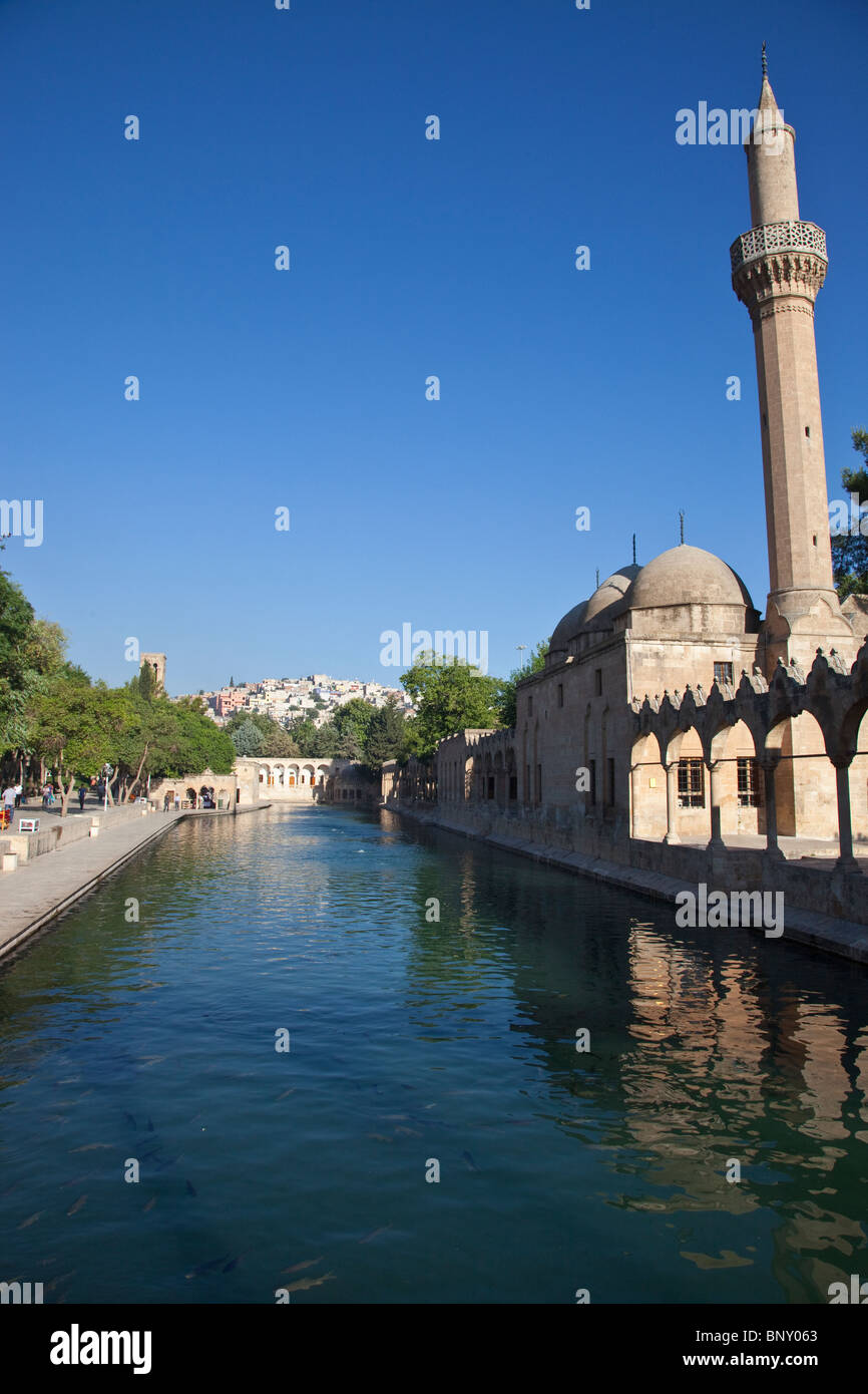 Pool of Abraham or Balikli Gol in Sanliurfa or Urfa, Turkey Stock Photo ...