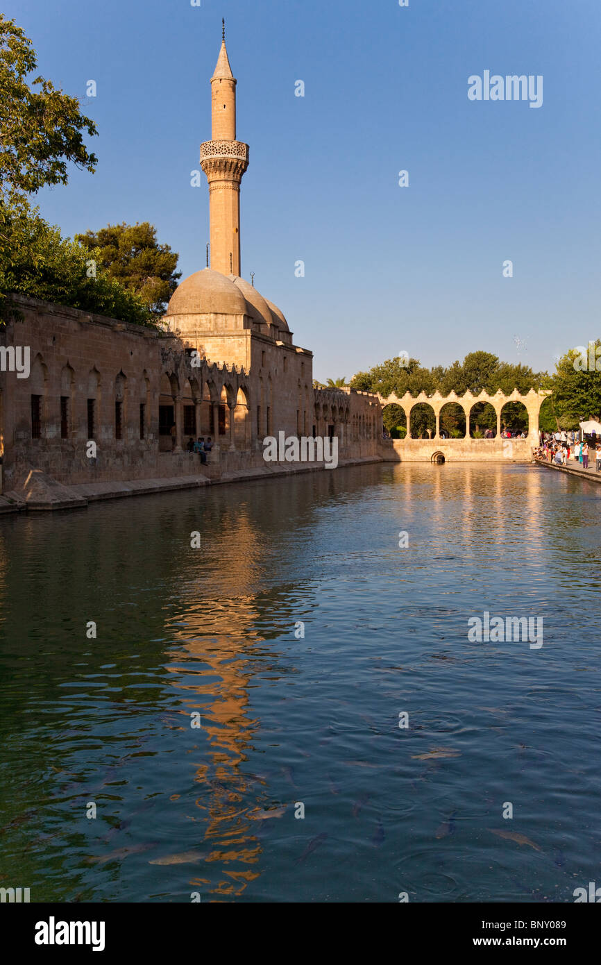 Pool of Abraham or Balikli Gol in Sanliurfa or Urfa, Turkey Stock Photo ...