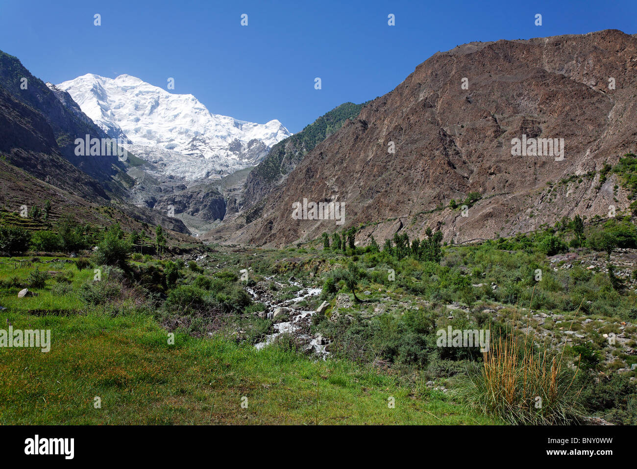Rakaposhi Mountain