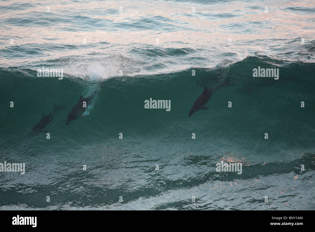 Fingal head hi-res stock photography and images - Alamy