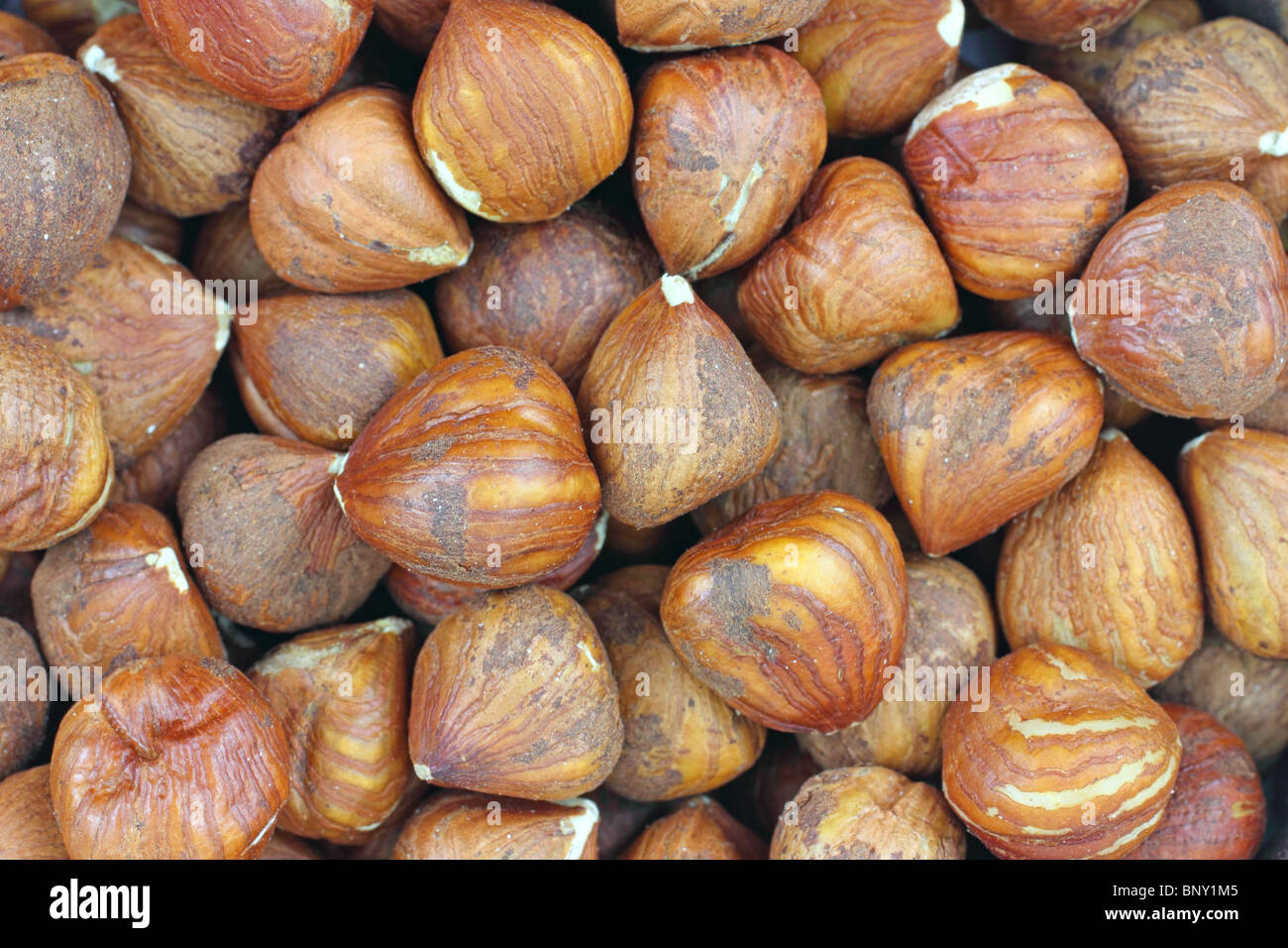 Close view of filbert nuts Stock Photo - Alamy