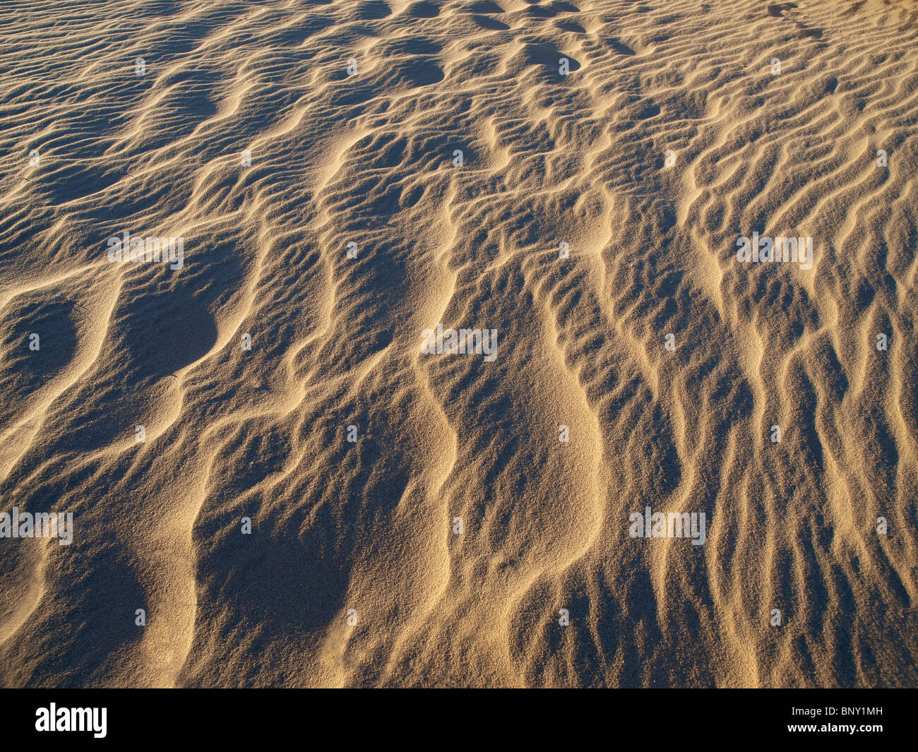 Sand pattern at Kelso Dunes in Mojave National Park Stock Photo - Alamy