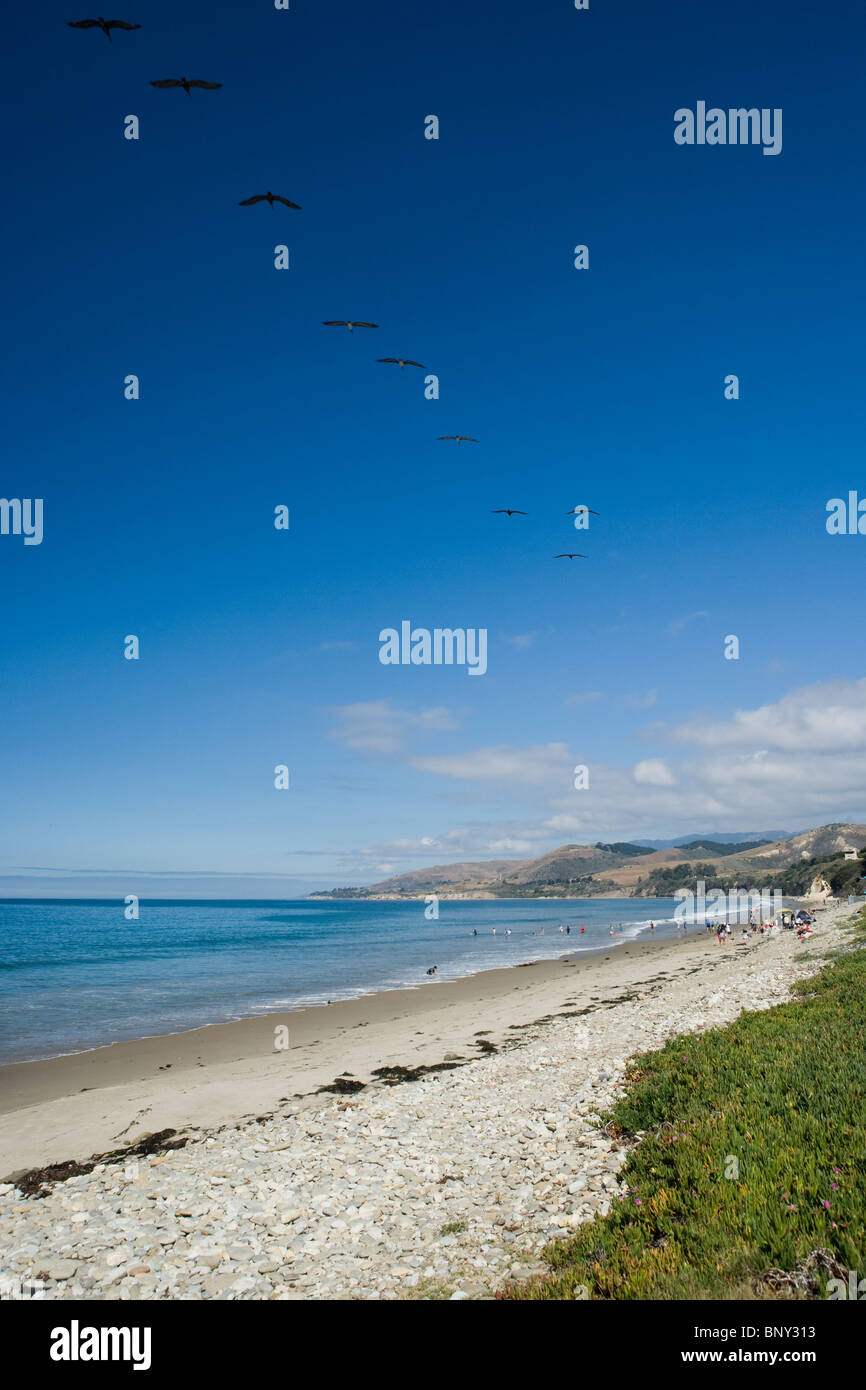 El Capitan State Beach, California Stock Photo - Alamy