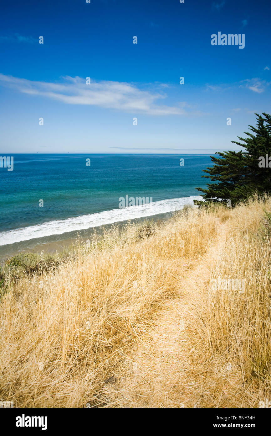 El capitan beach state park hi-res stock photography and images - Alamy