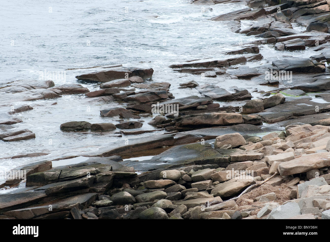 Halibut Point High Resolution Stock Photography and Images - Alamy