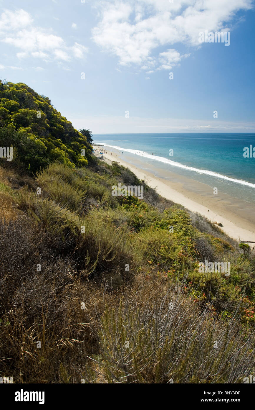 El capitan beach state park hi-res stock photography and images - Alamy