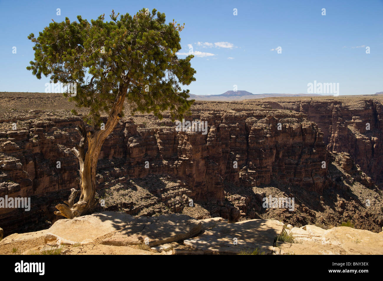 Grand Canyon National Park USA - the Little Colorado River gorge east ...