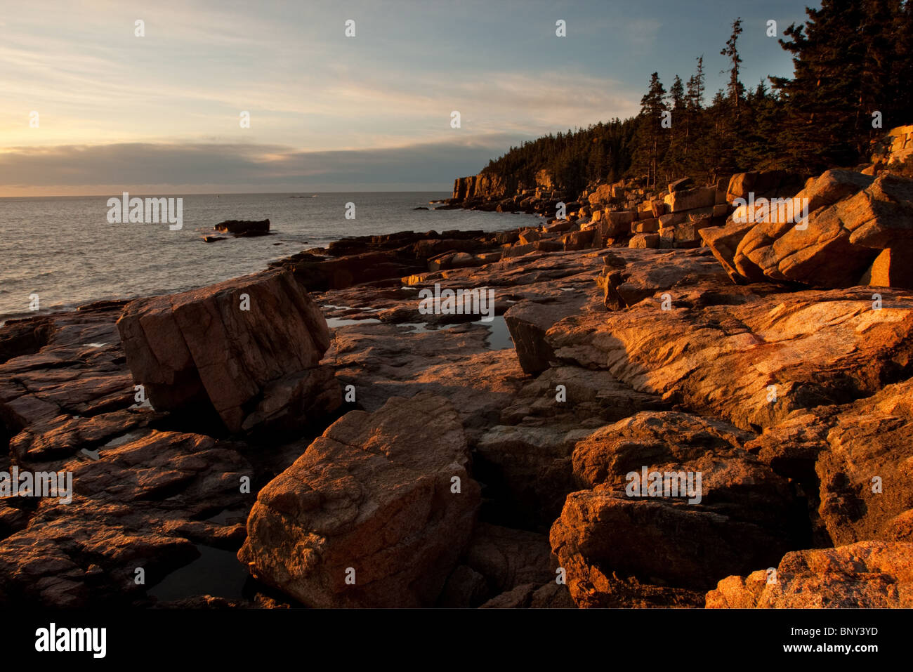 Otter point hi-res stock photography and images - Alamy