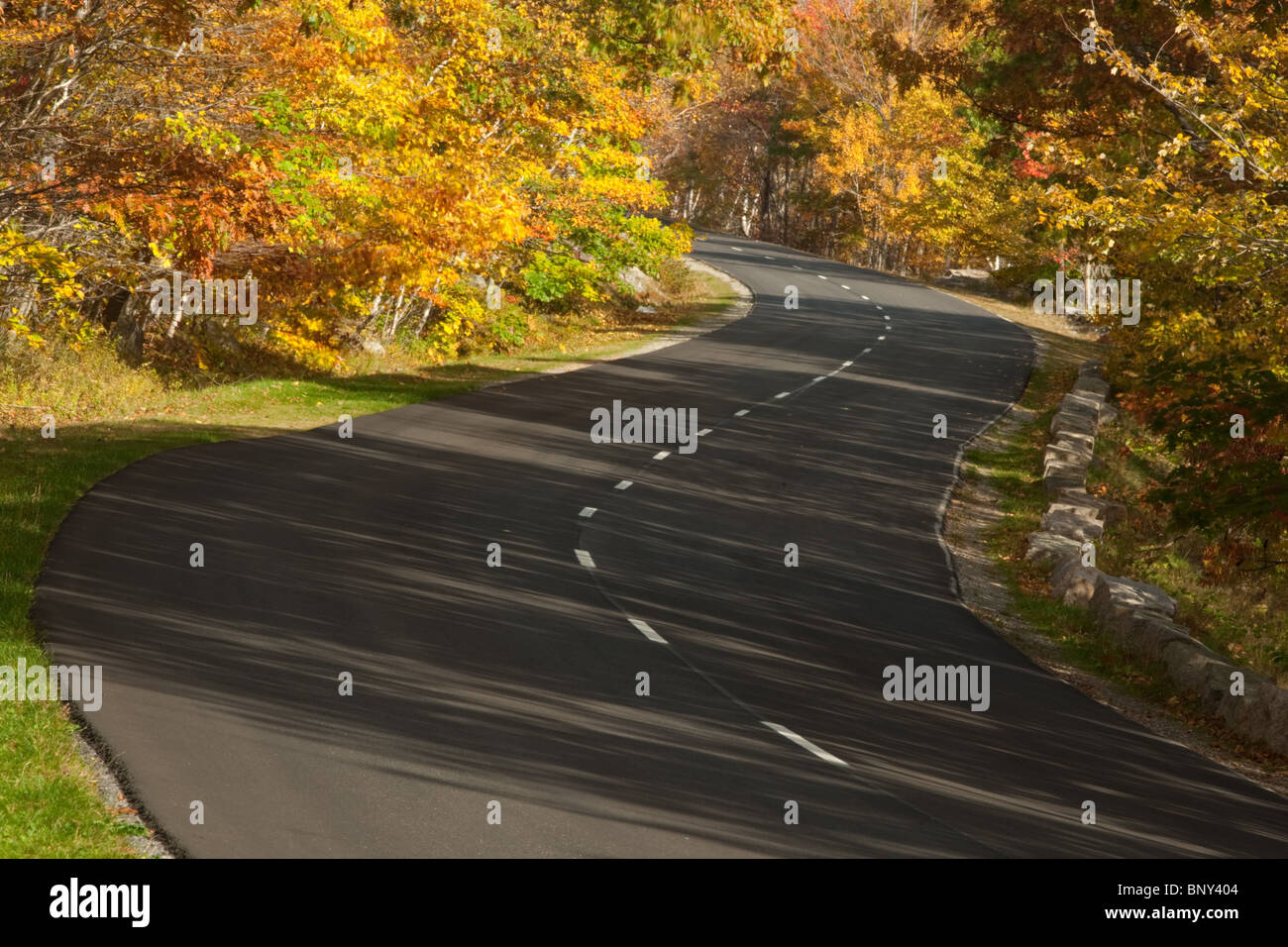 Park Loop Road, Acadia National Park, Maine, USA Stock Photo - Alamy