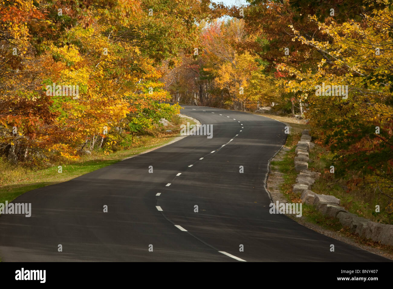 Park Loop Road, Acadia National Park, Maine, USA Stock Photo - Alamy