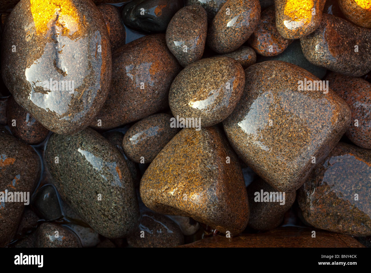 Wet Granite Rocks, Otter Cliff, Acadia National Park, Maine, USA Stock ...
