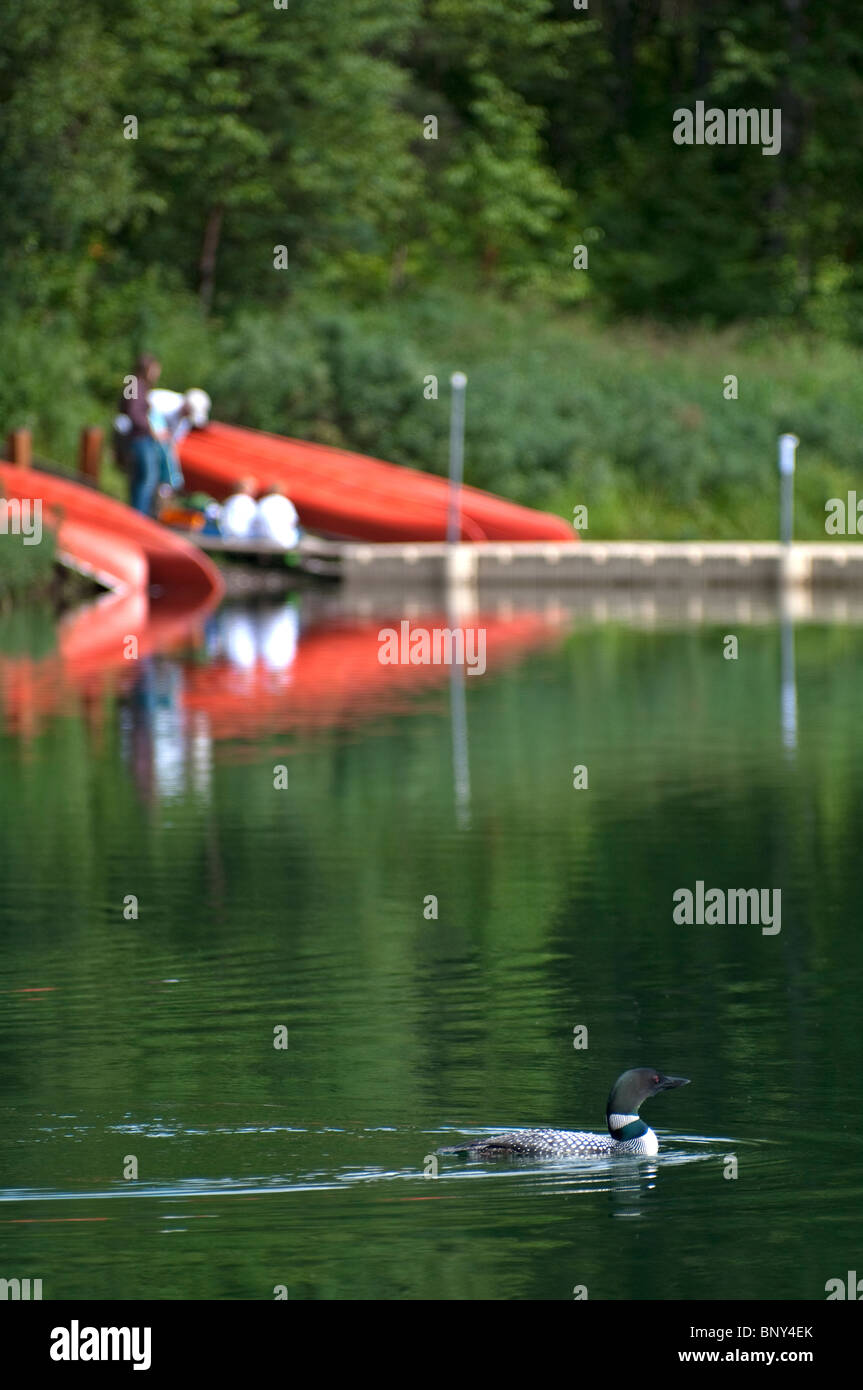 Enjoying a day at Talkeetna Lakes Park in Alaska Stock Photo - Alamy