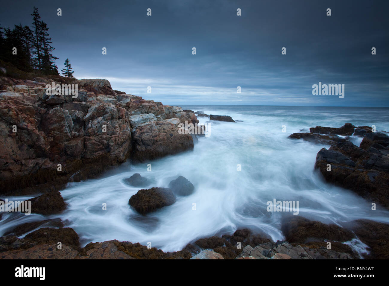 Dawn at Hunters Head, Acadia National Park, Maine, USA Stock Photo - Alamy
