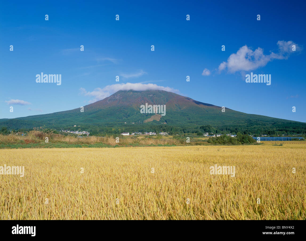 Mount Iwaki, Hirosaki, Aomori, Japan Stock Photo - Alamy