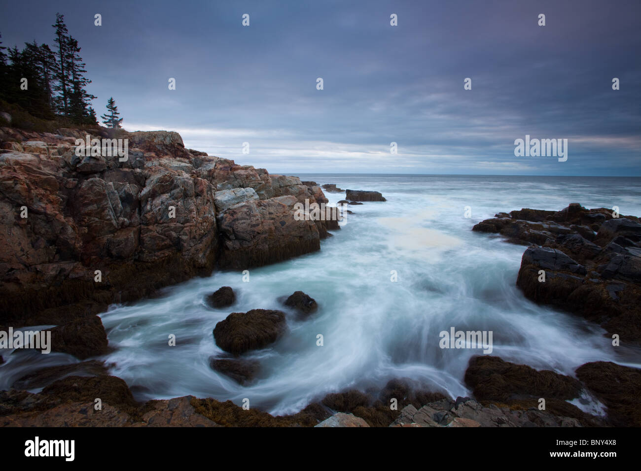 Dawn at Hunters Head, Acadia National Park, Maine, USA Stock Photo - Alamy