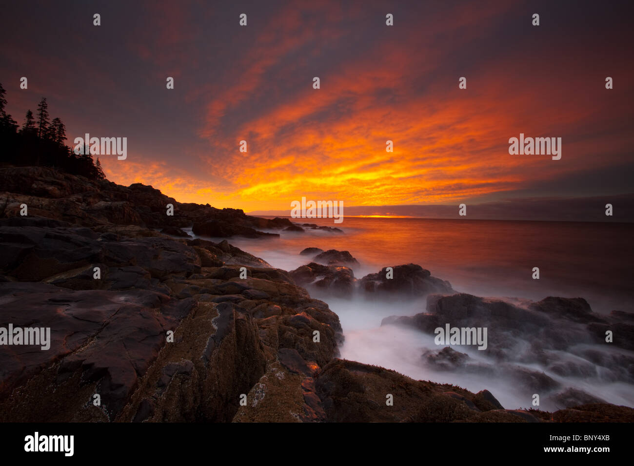 Dawn at Hunters Head, Acadia National Park, Maine, USA Stock Photo - Alamy