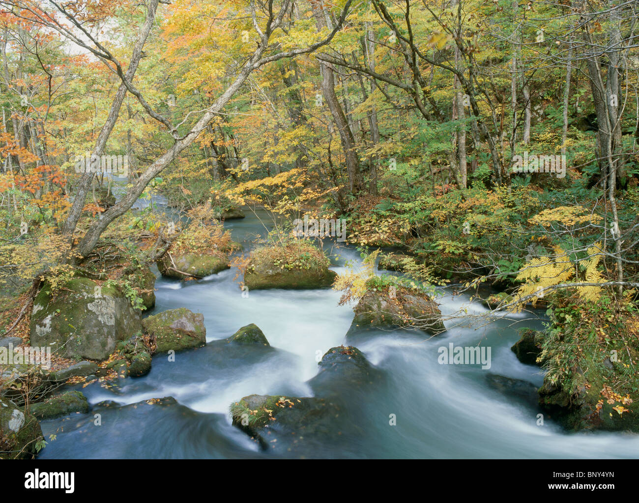 Oirase Stream, Towada, Aomori, Japan Stock Photo - Alamy