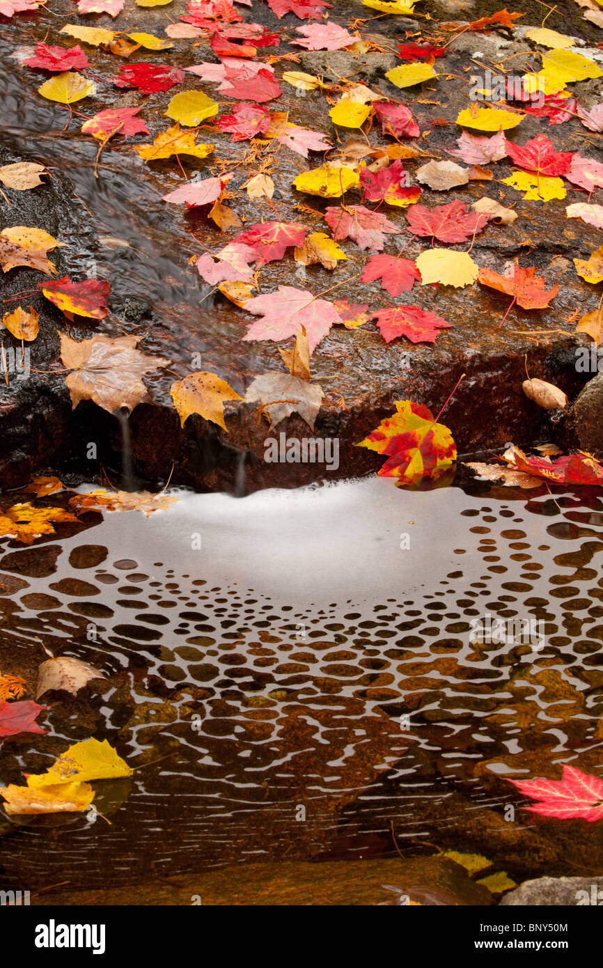 Tiny Bubbles Forming at the bottom of a small Stream trickling down ...