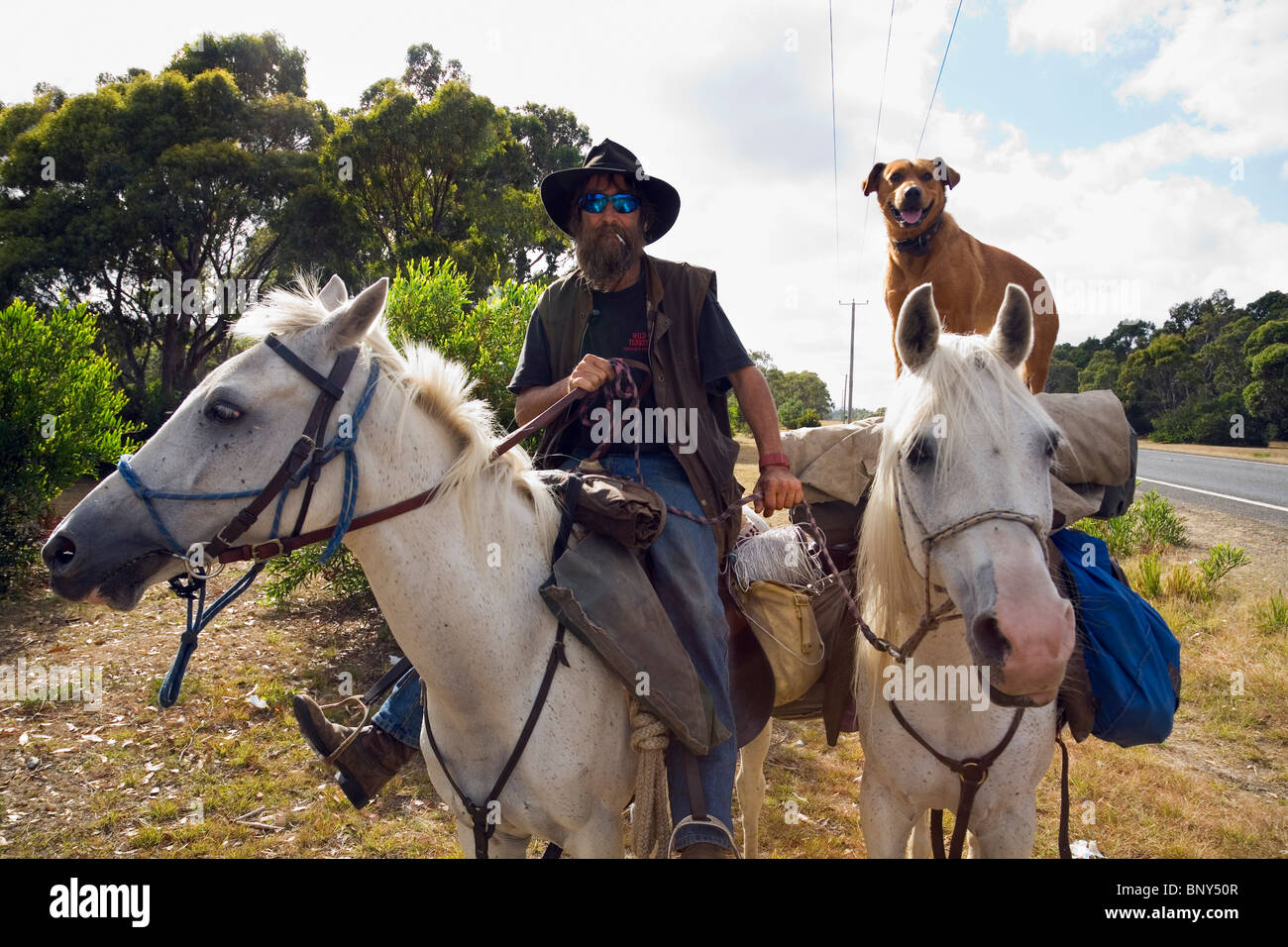 Australian saddle not rodeo hi-res stock photography and images - Alamy