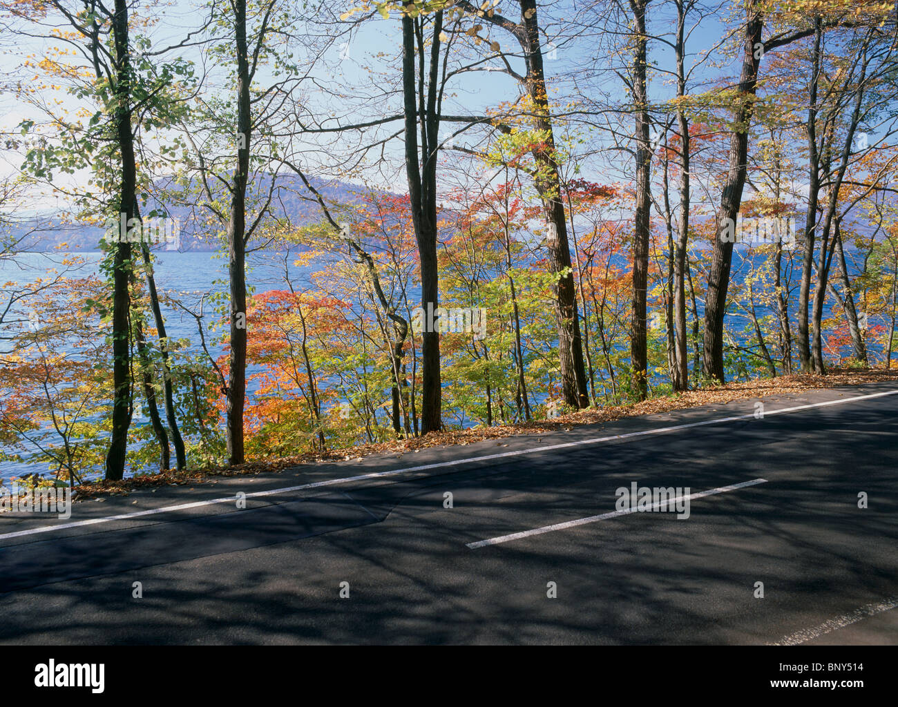 Lake Towada, Towada, Aomori, Japan Stock Photo - Alamy