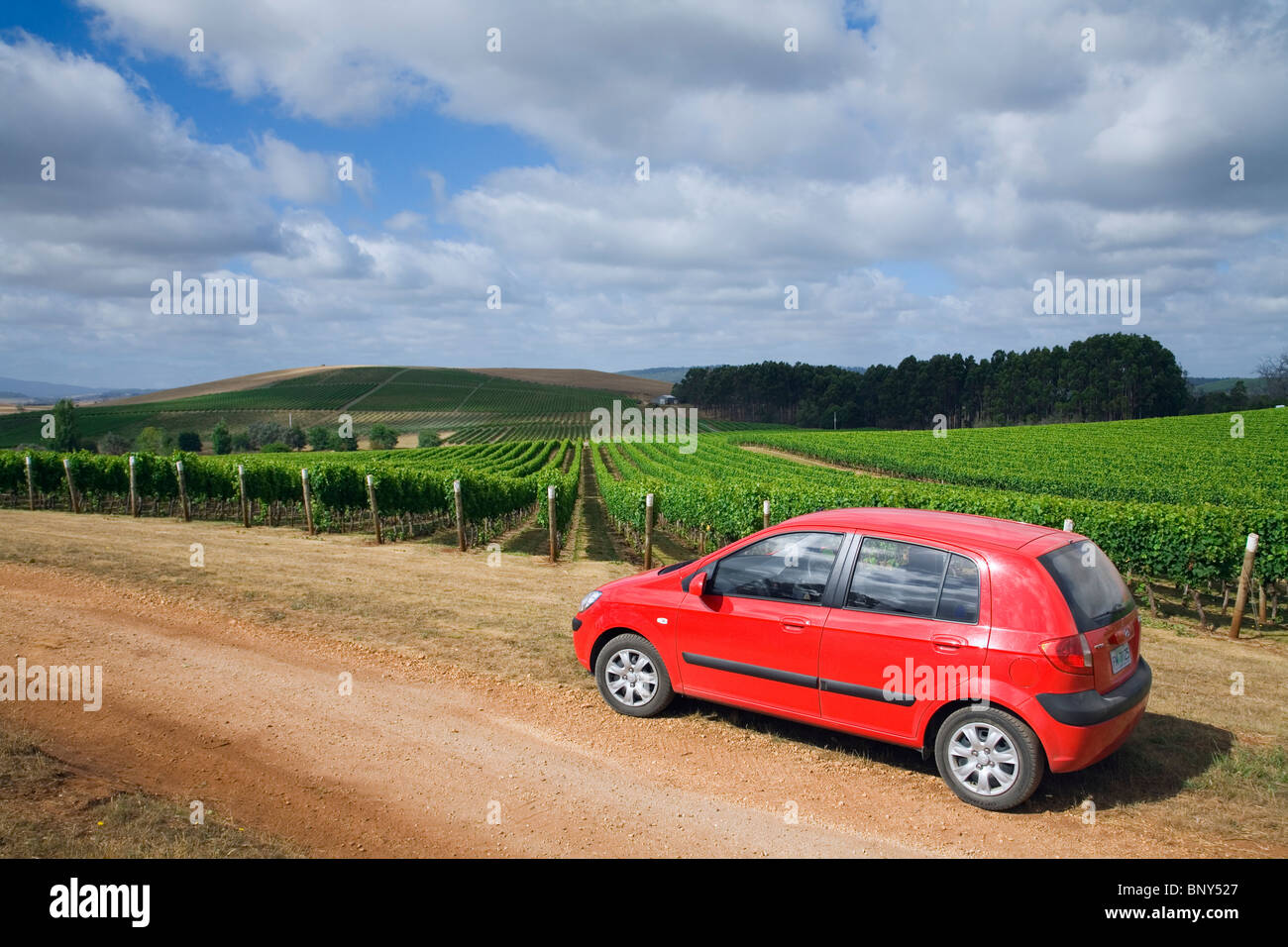 Green car driving through vineyards hi-res stock photography and images ...