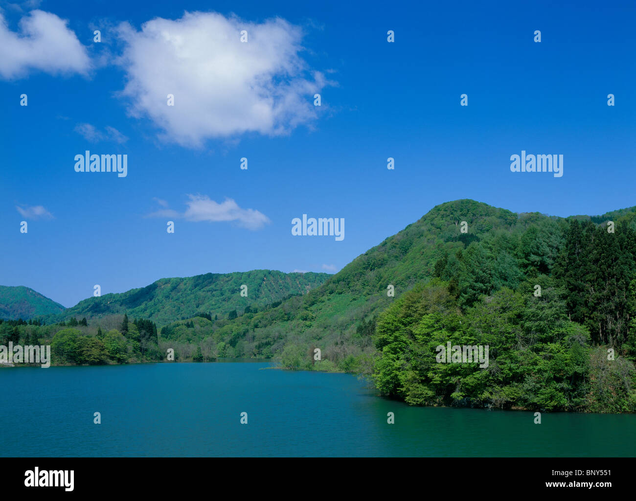 Shirakami Sanchi, Nishimeya, Nakatsugaru, Aomori, Japan Stock Photo - Alamy