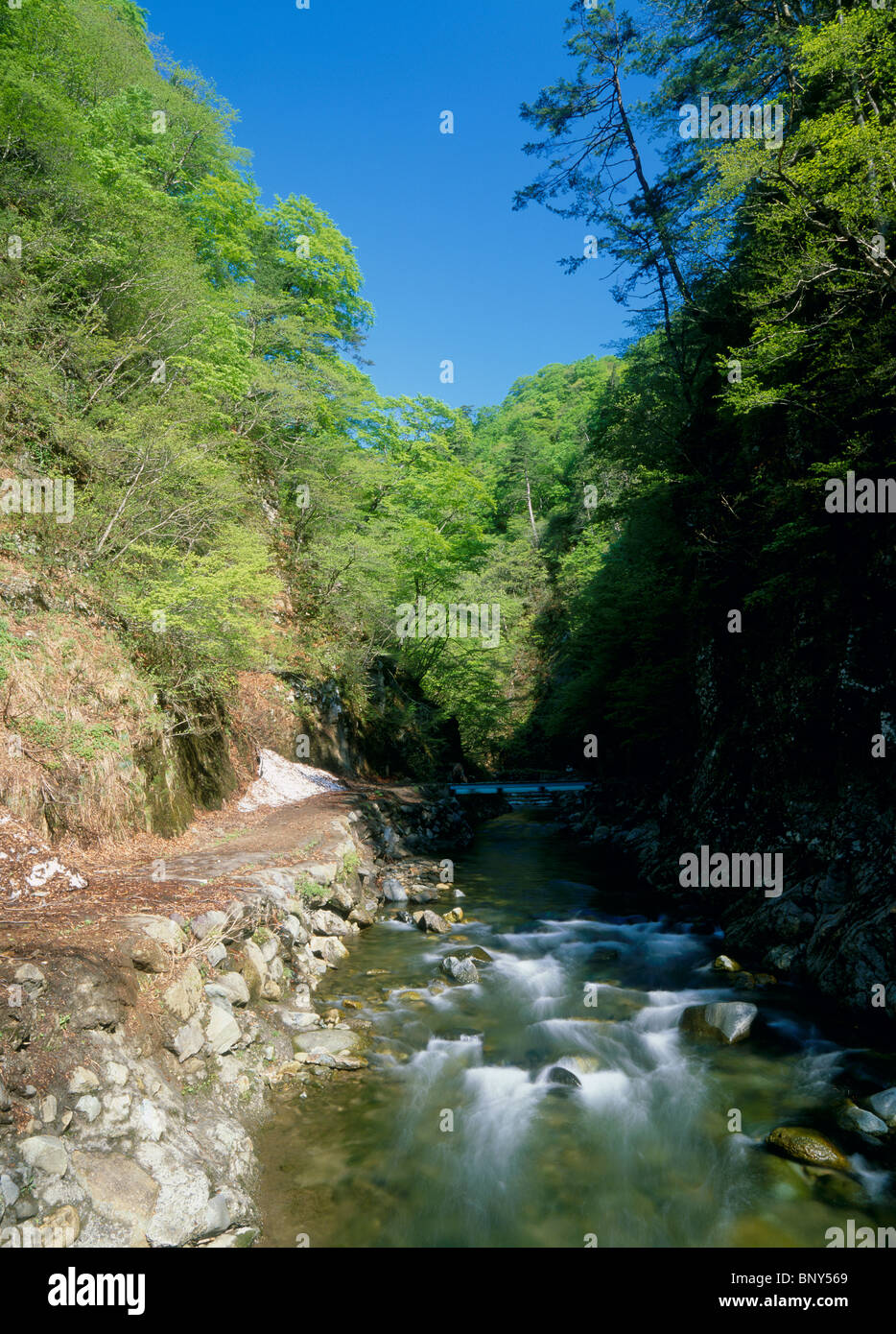 Anmon River, Shirakami Sanchi, Nishimeya, Nakatsugaru, Aomori, Japan ...