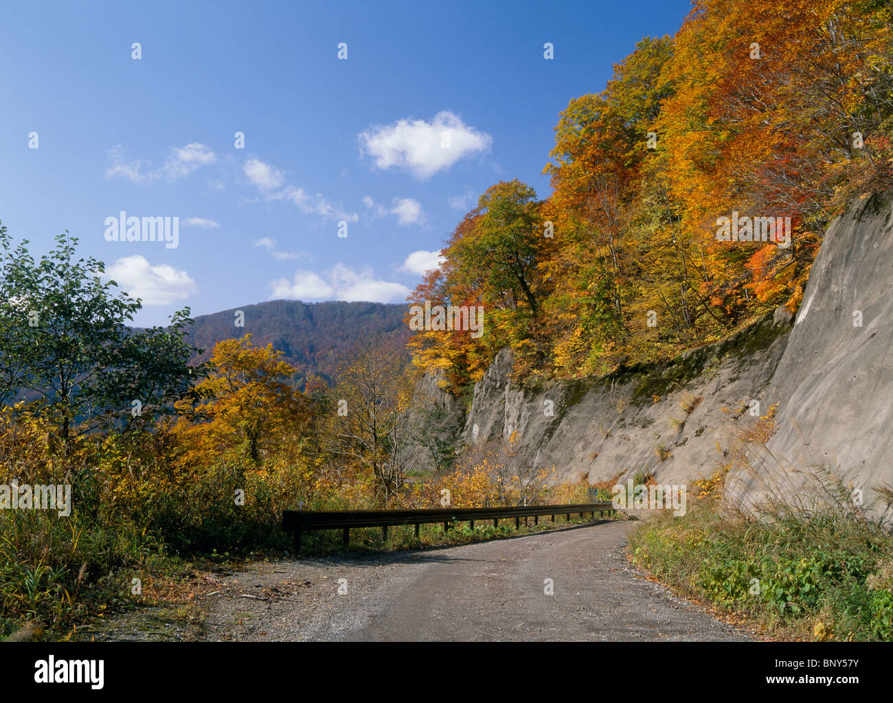 Shirakami mountain hi-res stock photography and images - Alamy