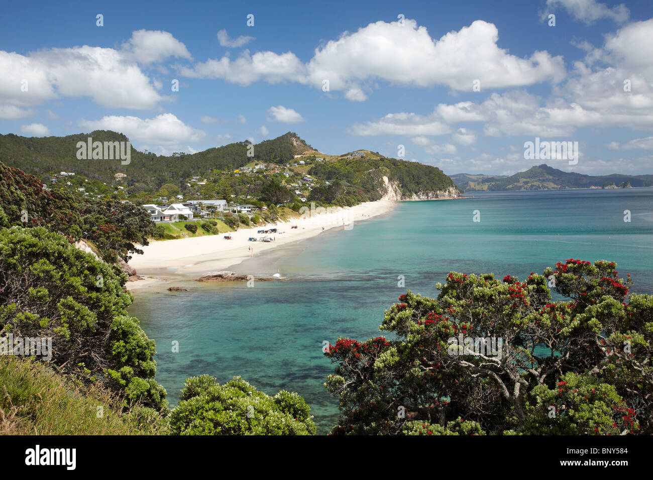Hahei, Coromandel Peninsula, North Island, New Zealand Stock Photo - Alamy