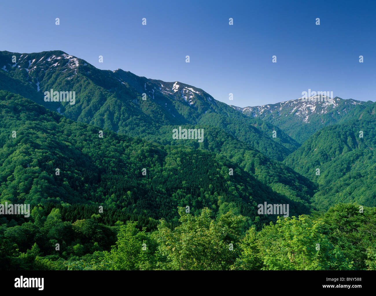 Shirakami Sanchi, Fukaura, Nakatsugaru, Aomori, Japan Stock Photo - Alamy