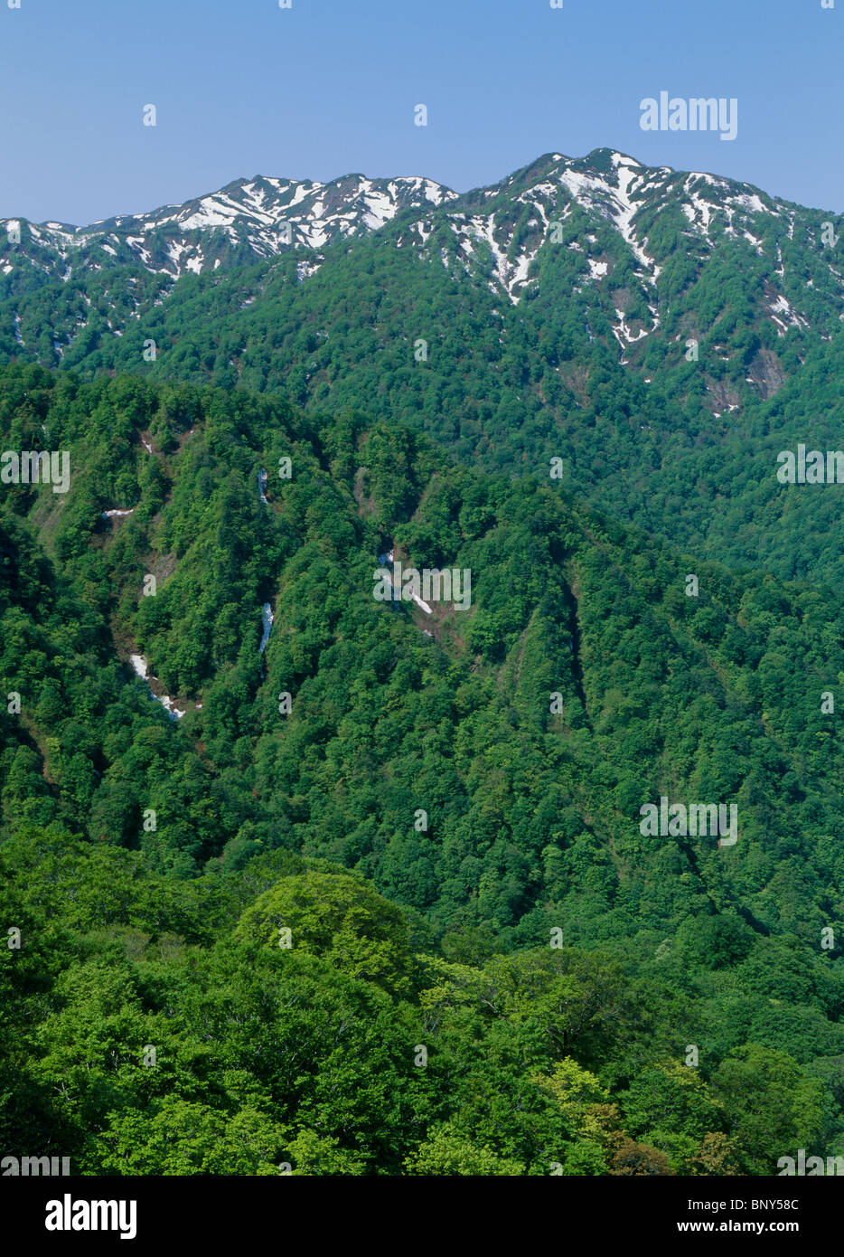 Shirakami Sanchi, Fukaura, Nakatsugaru, Aomori, Japan Stock Photo - Alamy